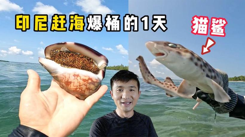 ok哥赶海抓椰子螺