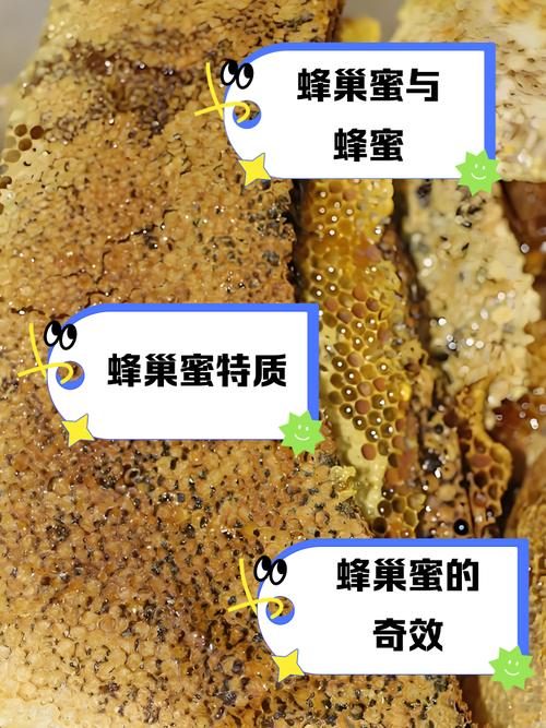 蜂蜜好还是蜂巢好图标