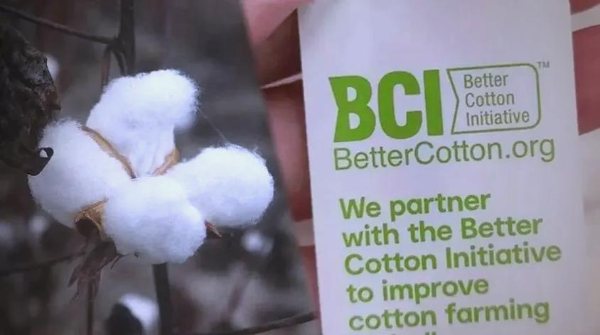 bci组织是什么意思图标