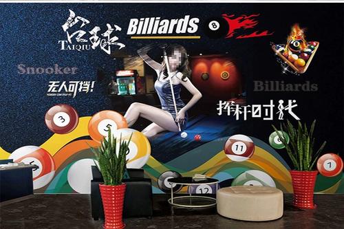 台球厅的杆一般多少钱