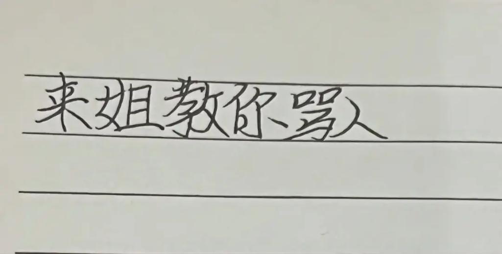 blingbling是骂人的意思吗图标