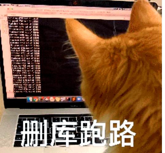 删除游戏资源包和行为包截图