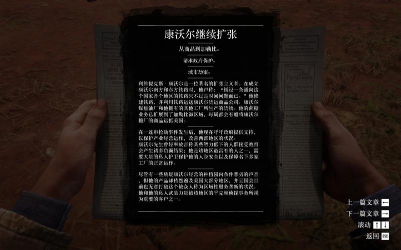 荒野大镖客2文件怎么看截图
