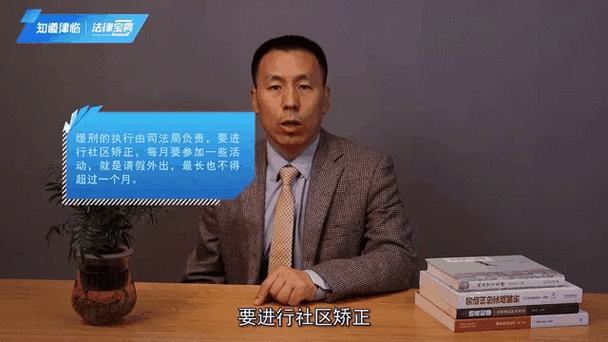 判缓刑的人外出最新规定图标