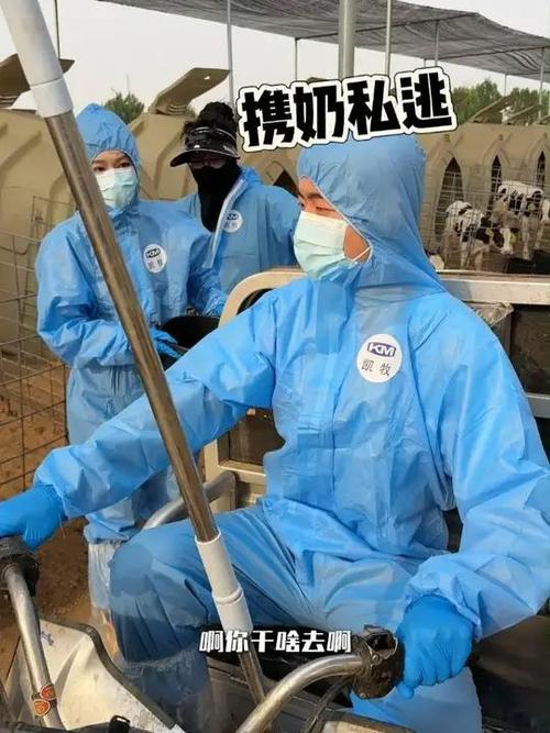 奶牛直播间现场直播图标