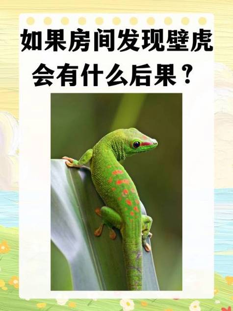 蛙进屋十大征兆图标