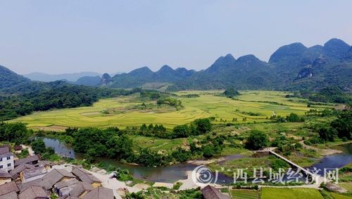 广西扶贫网官网登录图标