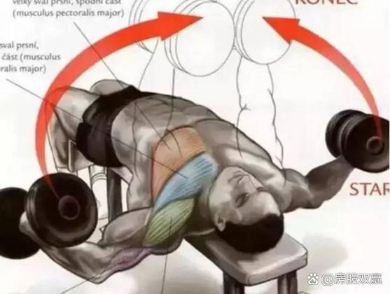 最开始怎么练飞鸟截图