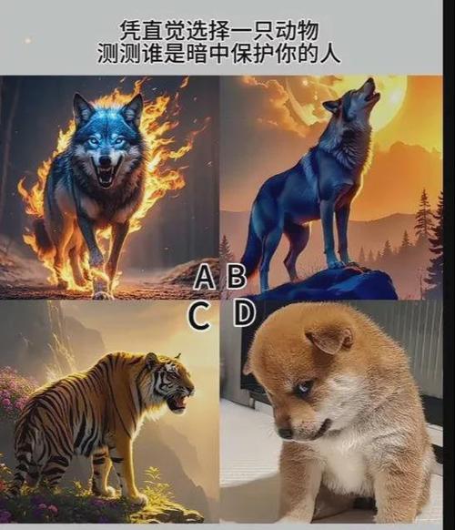 选择动物
