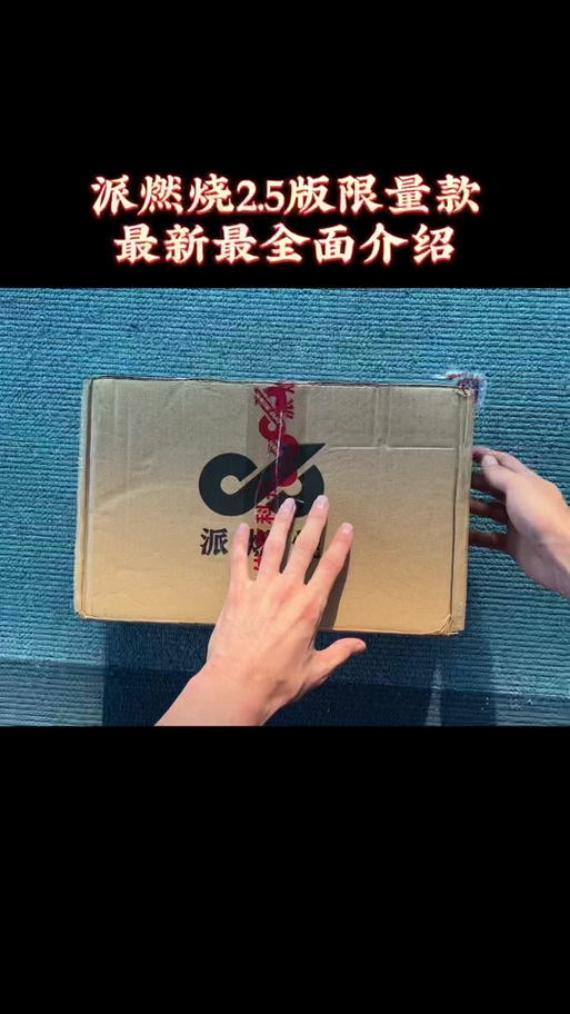 派派什么时候上市的截图
