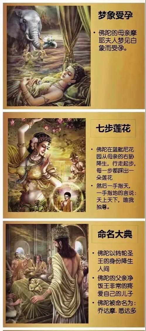 释迦牟尼佛一生简介图标