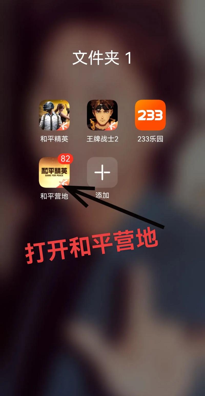和平精英体验服申请入口图标