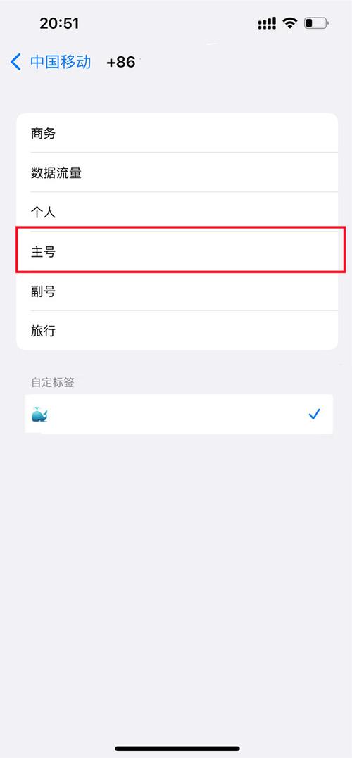 苹果11切换主副卡图标