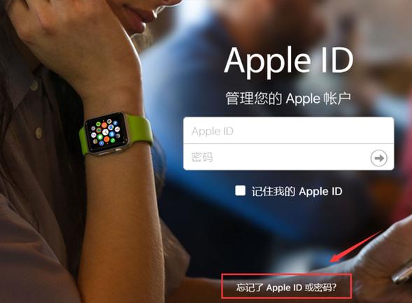 ipad被陌生的id锁住了图标
