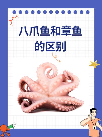 八爪鱼兑换码最新版图标