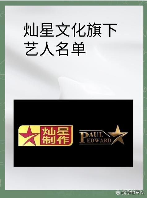 灿星文化传媒有限公司图标