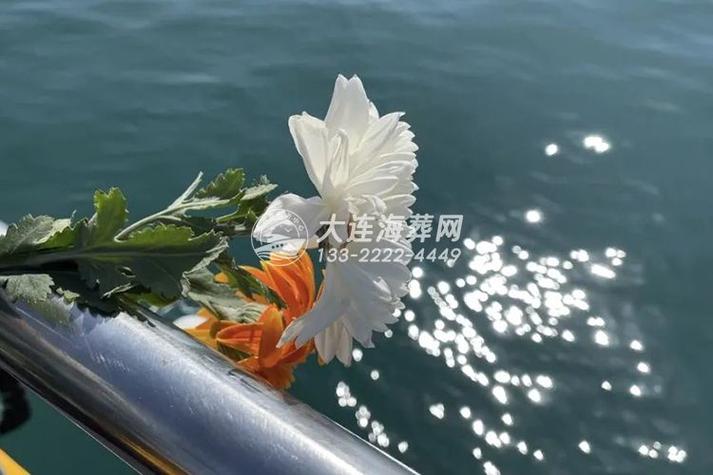 海葬对儿女的影响