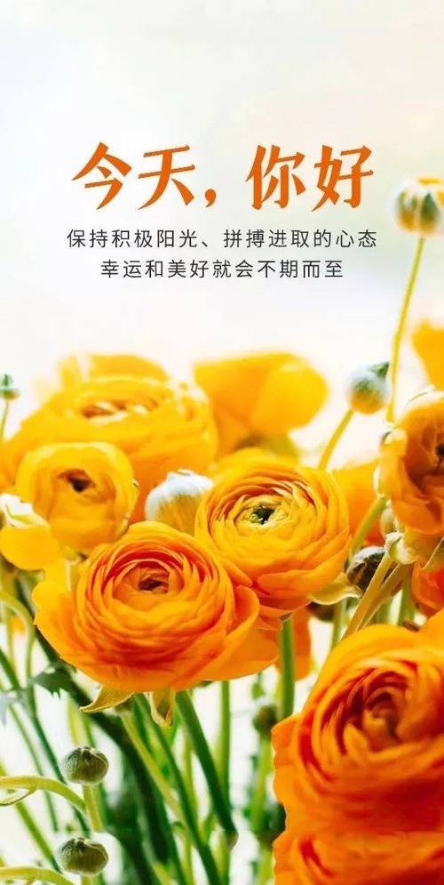 了解朋友的100个问卷图标