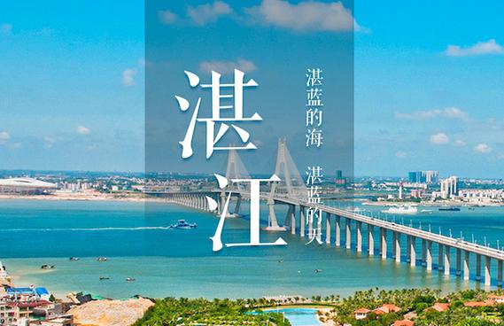 湛江门户网站图标