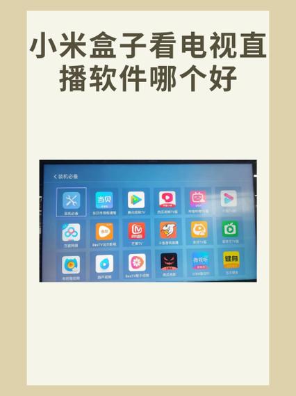 小熊盒子直播下载图标