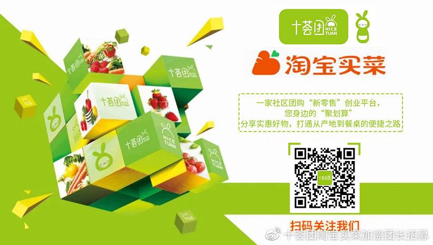 十荟团团长赚钱吗图标