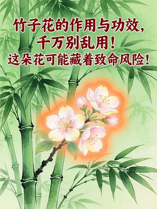 竹子花可以泡水喝吗图标