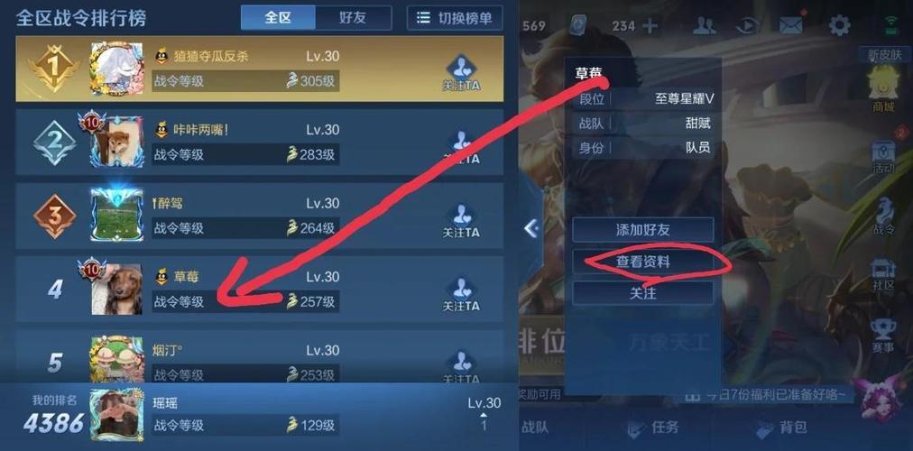 王者荣耀改重复名图标