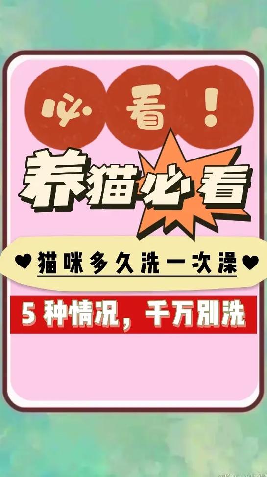 养猫要洗澡吗