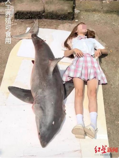 网红美食博主截图