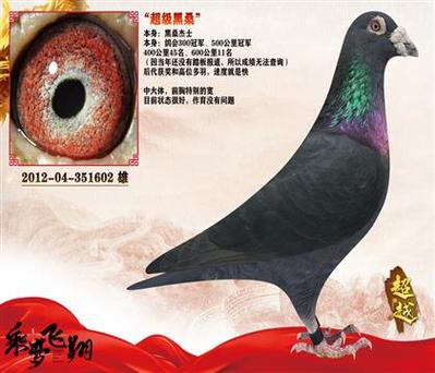 黑桑杰士属于什么档次图标