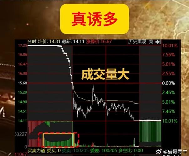 集合竞价历史回看功能
