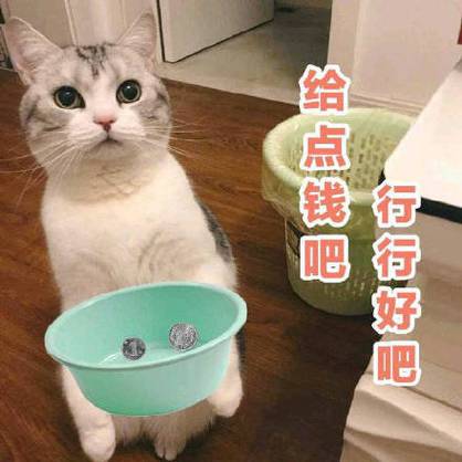 猫咪赚钱小游戏软件图标