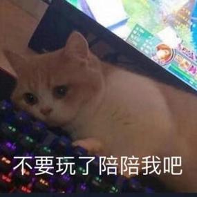 想要男朋友陪我该怎么撒娇图标