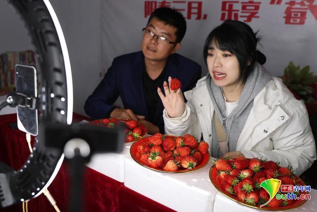 小草莓直播链接图标