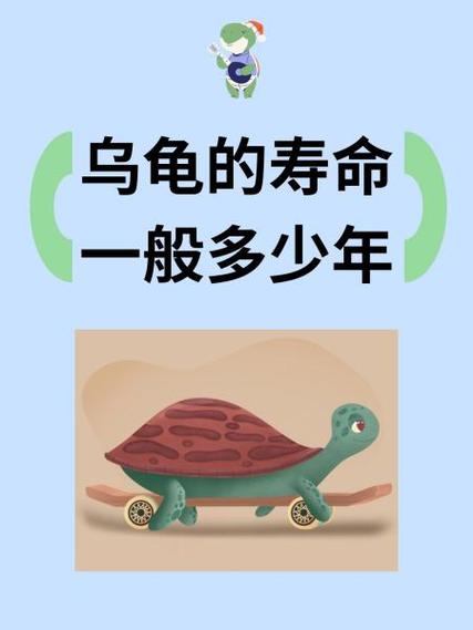 乌龟寿命有多少年图标