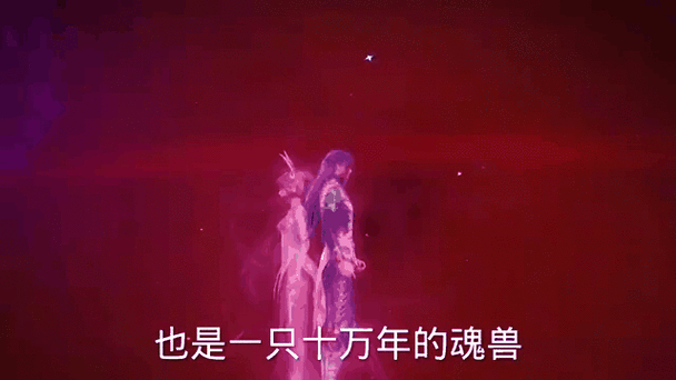 小舞到底是谁