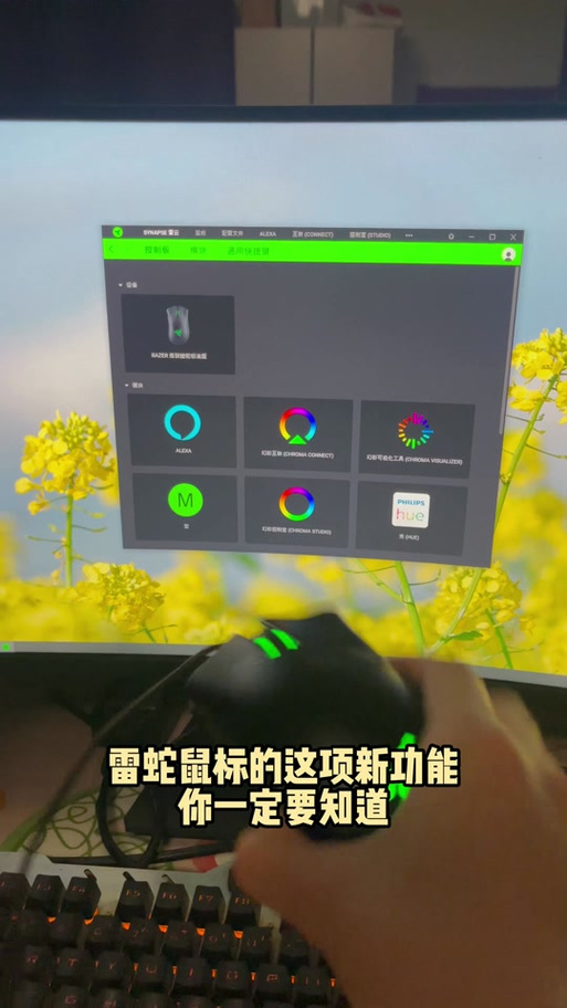压枪宏文件图标