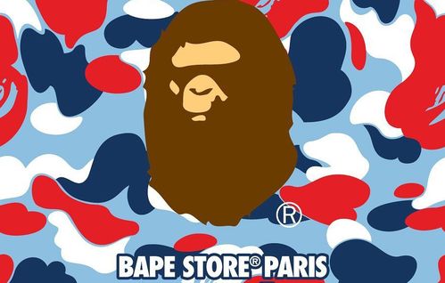 bape官网中国官网图标