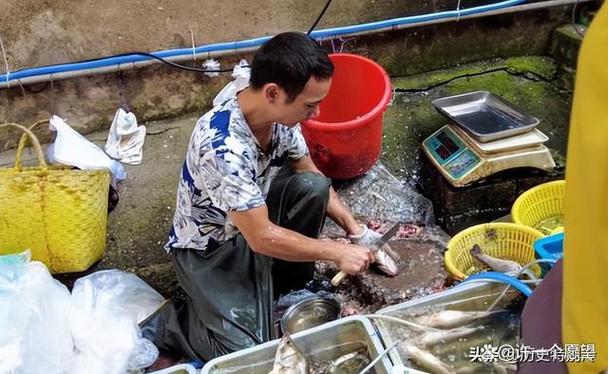 手不指鱼正确解释图标