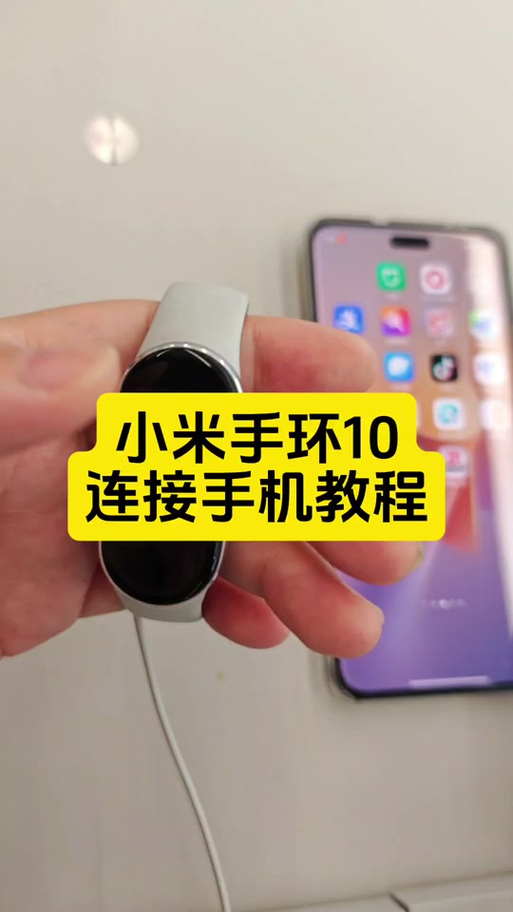 小米手环安装截图
