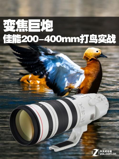 400mm镜头打鸟够用吗