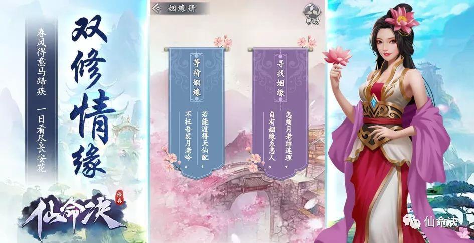 仙命决各项属性有什么用图标