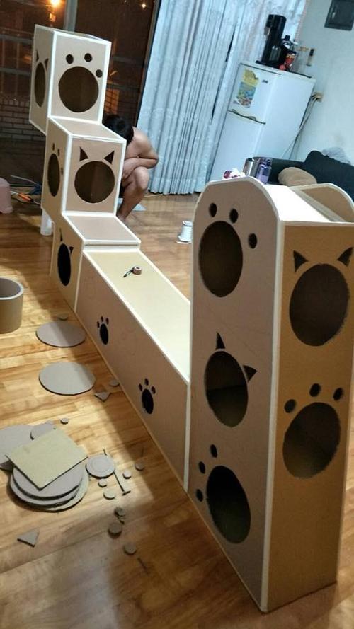 自制猫玩具大型纸盒箱