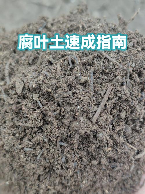 矿物菌种套装矿石图片截图