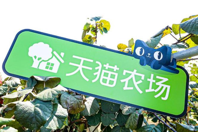 天猫农场一直生产吗截图