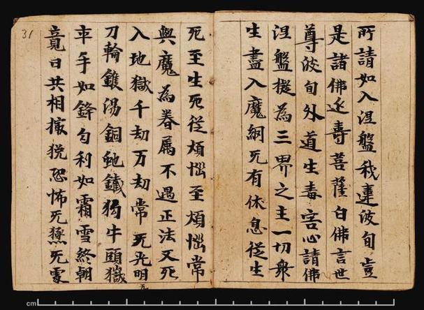 弥勒经图标