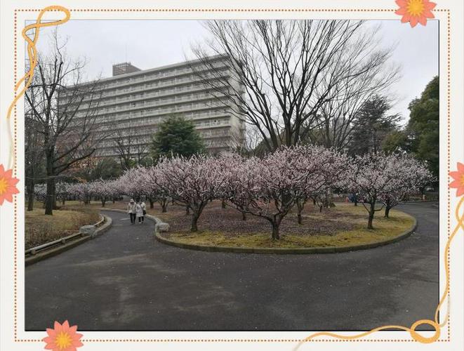 东京中央公园图标
