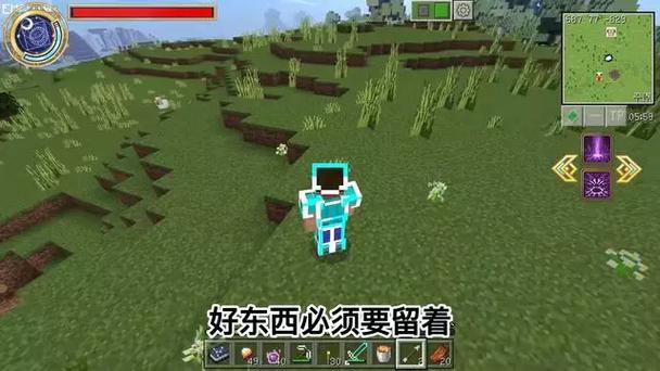 我的世界僵尸怎么驯服当保镖截图