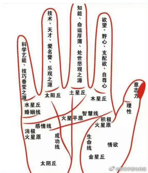 手上三条线图解图标
