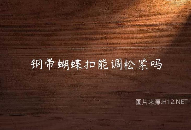 钢带蝴蝶扣松了图标